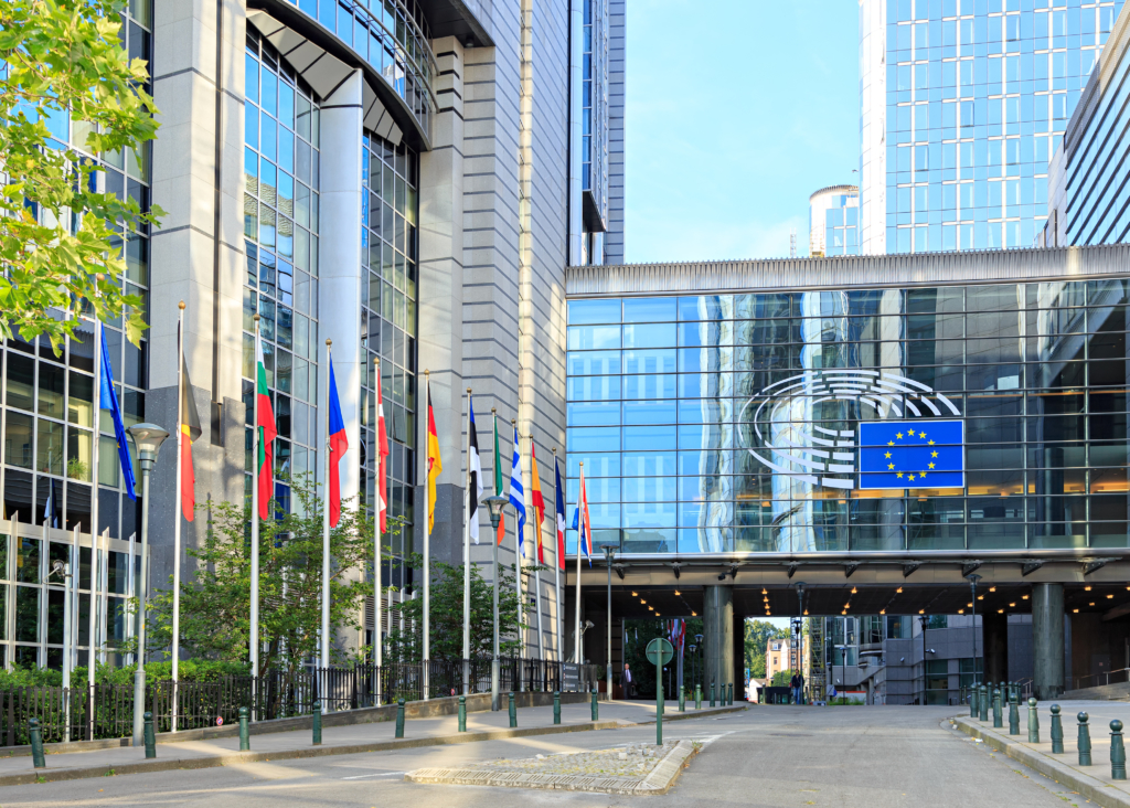 Rights groups: After EU elections, fight back for the rule of law ...